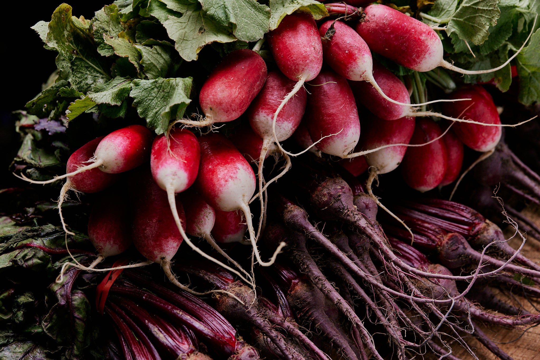 QUEEN'S HARVEST - Specialty Produce – Queen's Harvest